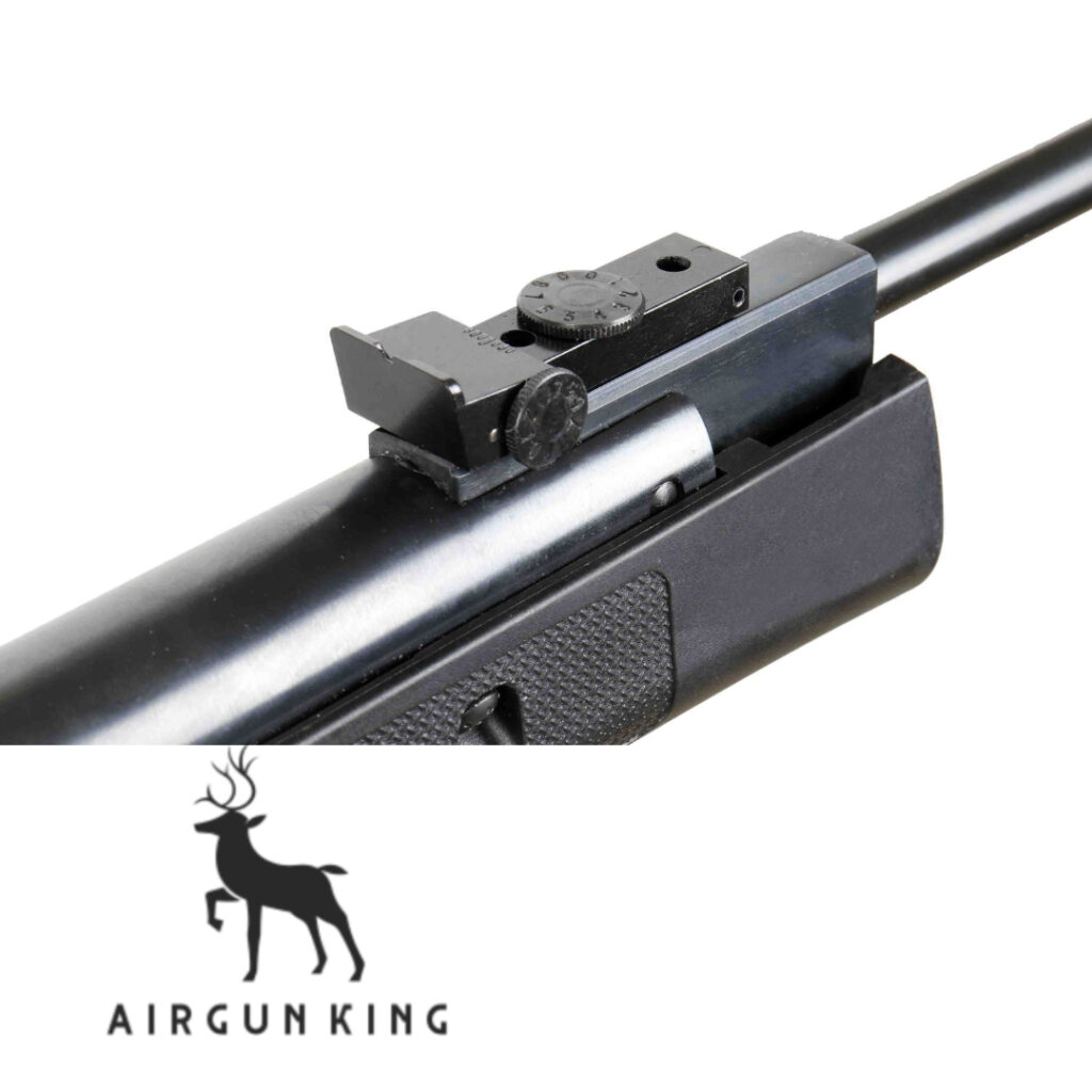 Buy Amazing Diana 340 N-TEC Luxus .177 Cal. Air Rifle - Airgun King