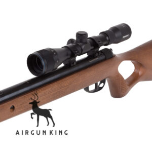 Buy Amazing DIANA TWO-FIFTY MAGNUM .177 Cal. Air Rifle - Airgun King
